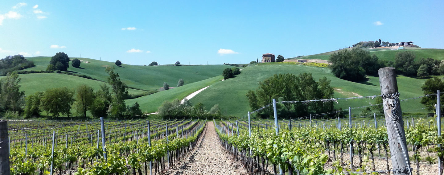 Italian Townscapes | Art Vs Photography | Tuscany Now & More
