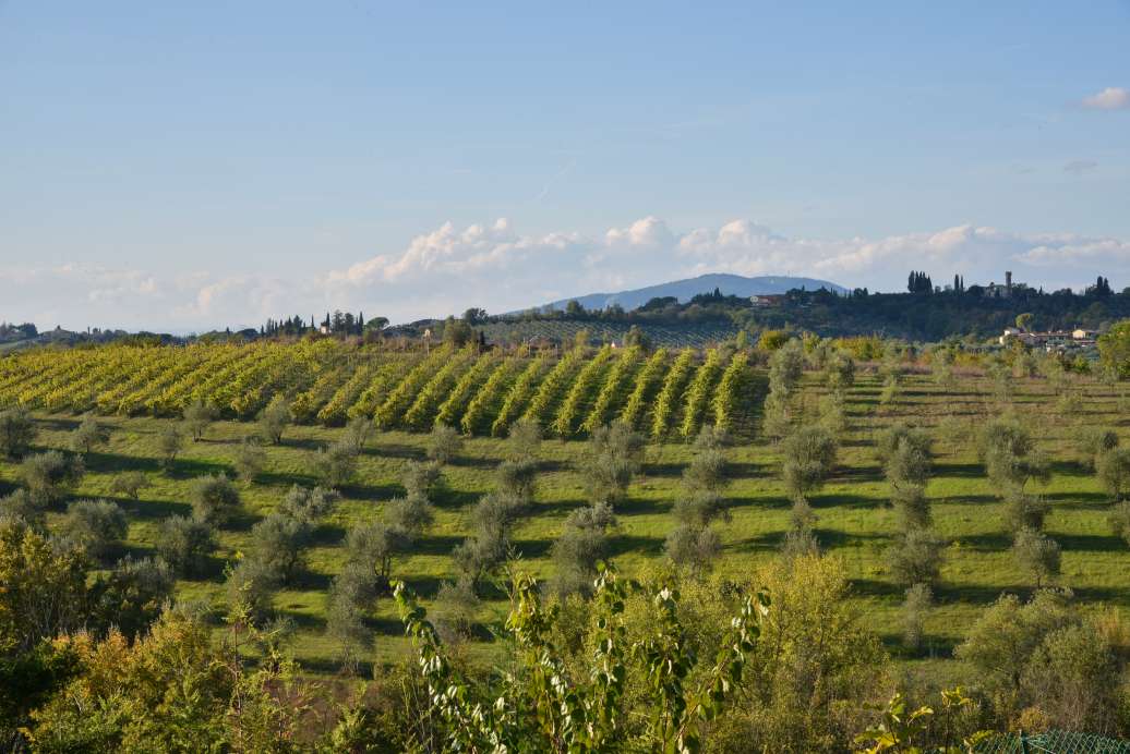 Colli Fiorentini | Villa with Pool | Tuscany Now & More