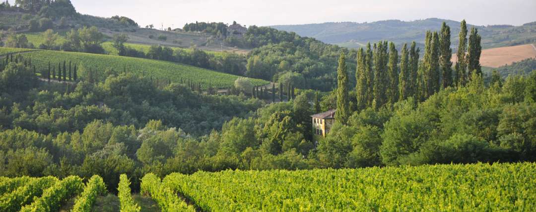 An Introduction To Tuscany & Advice | Tuscany Now & More