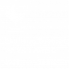 Livorno travel guide | Tuscany Now & More