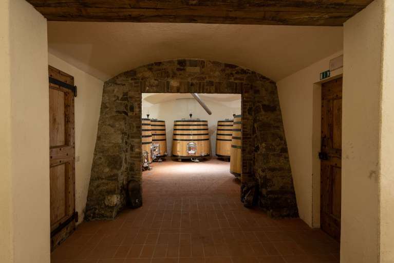 Colle Bereto Wine Tour, Tasting & Lunch | Tuscany Now & More